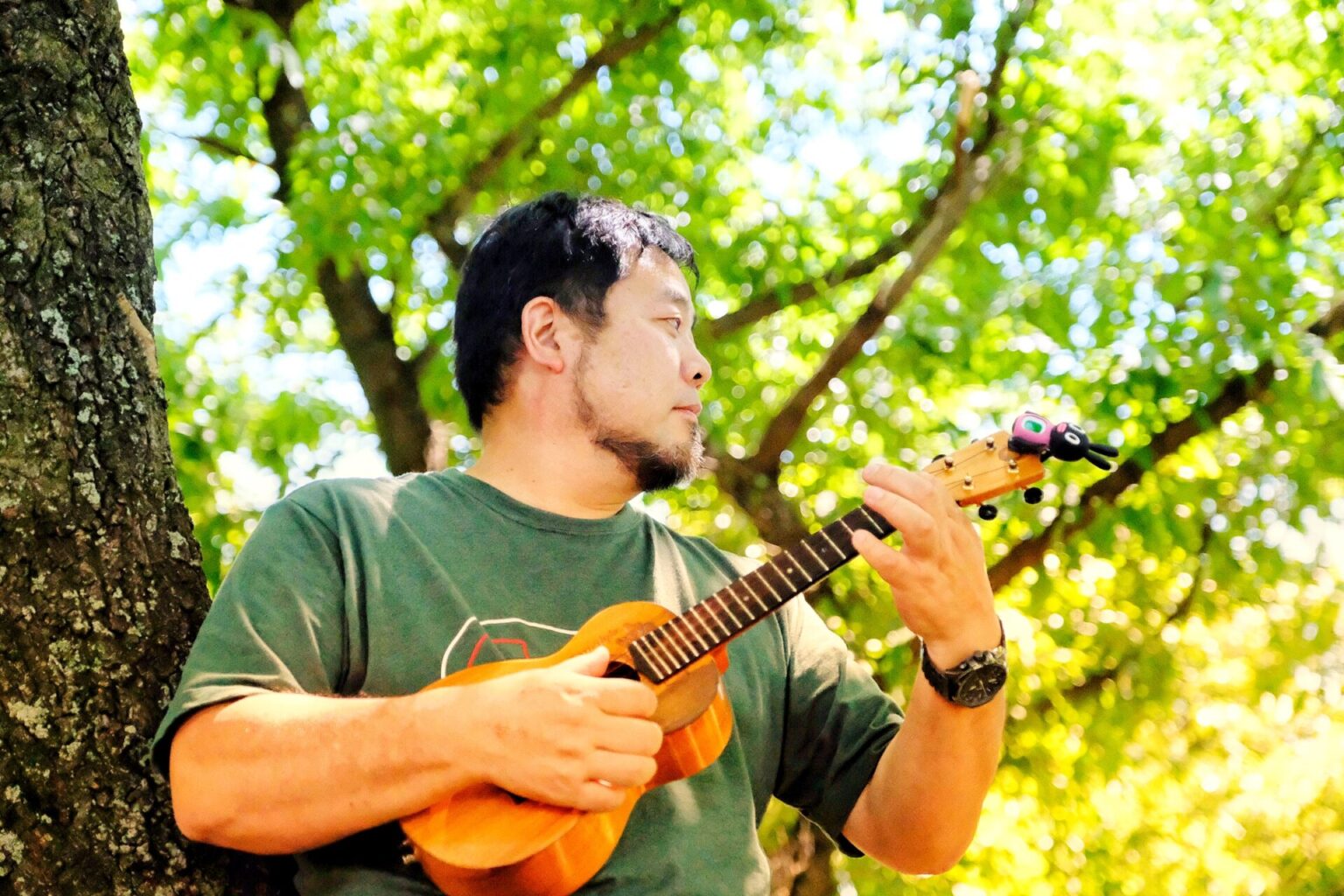 安いウクレレ教室のオンラインレッスンなら - BSWボンボサウンドワークス